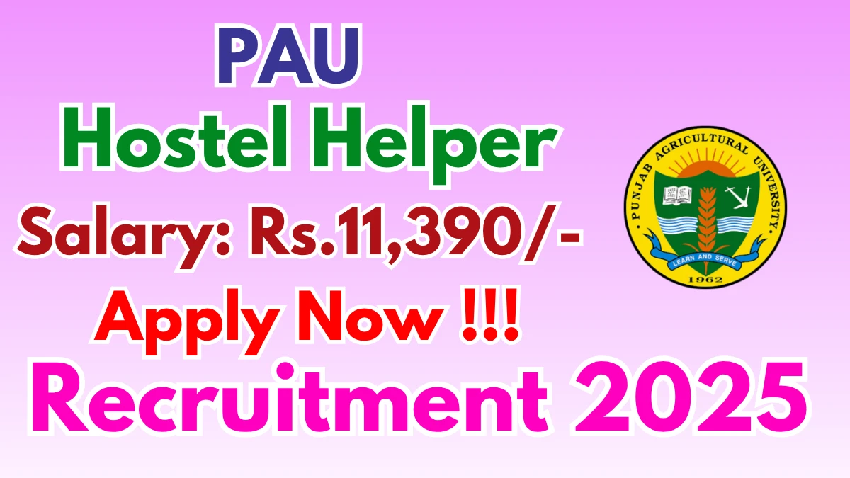 PAU Hostel Helper Recruitment 2025 - Fresh Naukari